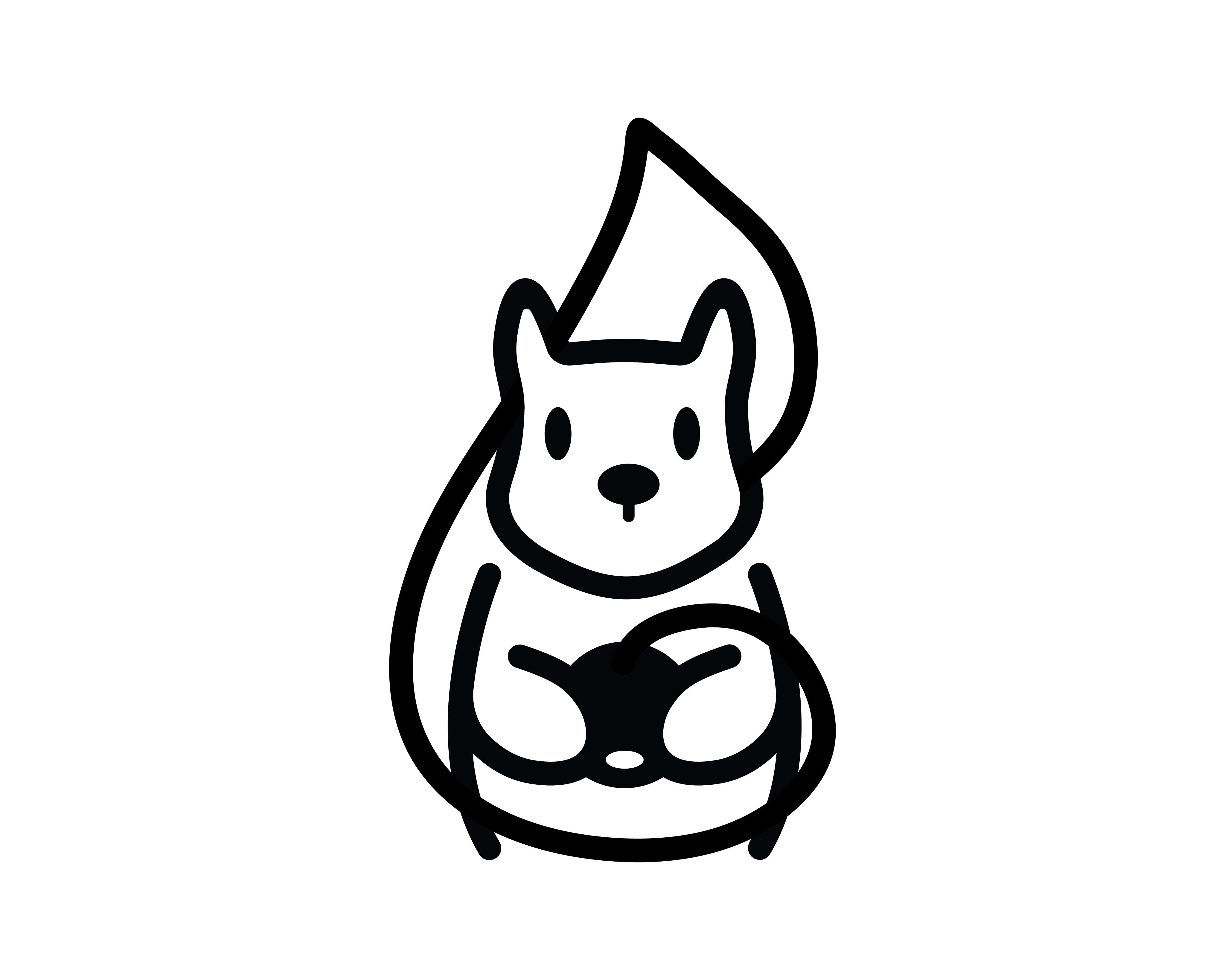 Collections – Erraticsquirrel